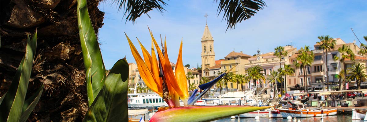 Activité Sanary-sur-mer : Que faire à Sanary-sur-Mer durant votre séjour